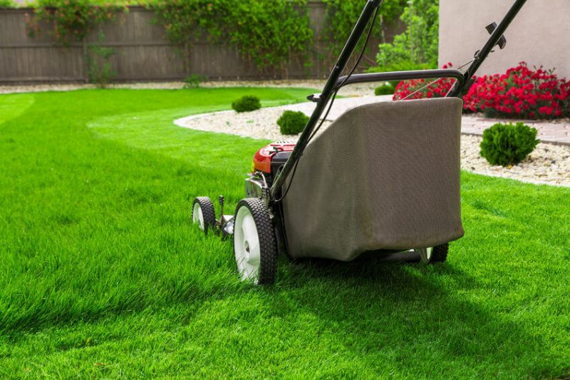 8 Best Electric Start Self-Propelled Lawn Mowers 2025 + FAQ