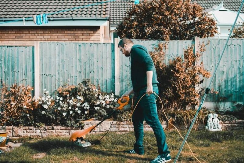 19 Best Cheap Lawn Mowers 2026 - Mowing on a Budget!