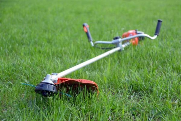 Edger Vs Trimmer - Which One is Best for Your Lawn?