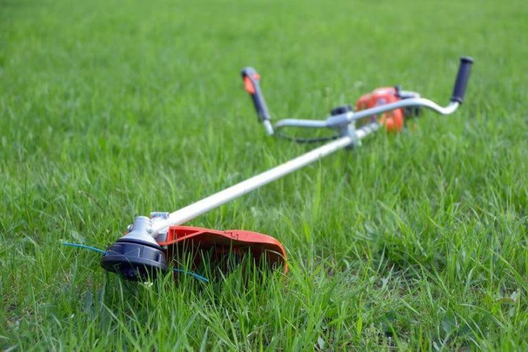 Edger Vs Trimmer - Which One is Best for Your Lawn?