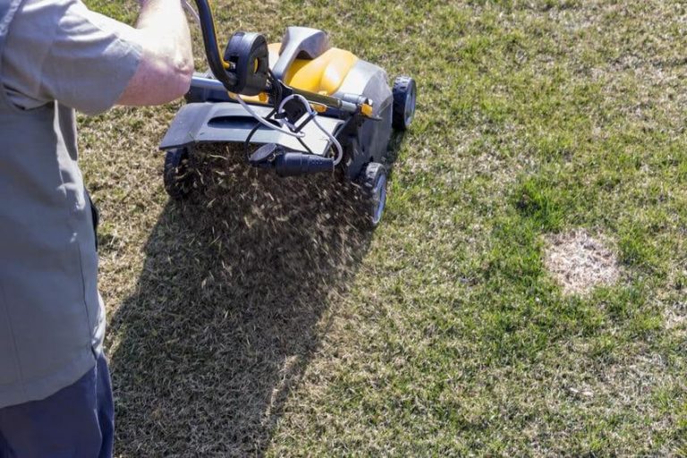 The 9 Best Lawn Aerators 2025 - Get Better Grass Drainage