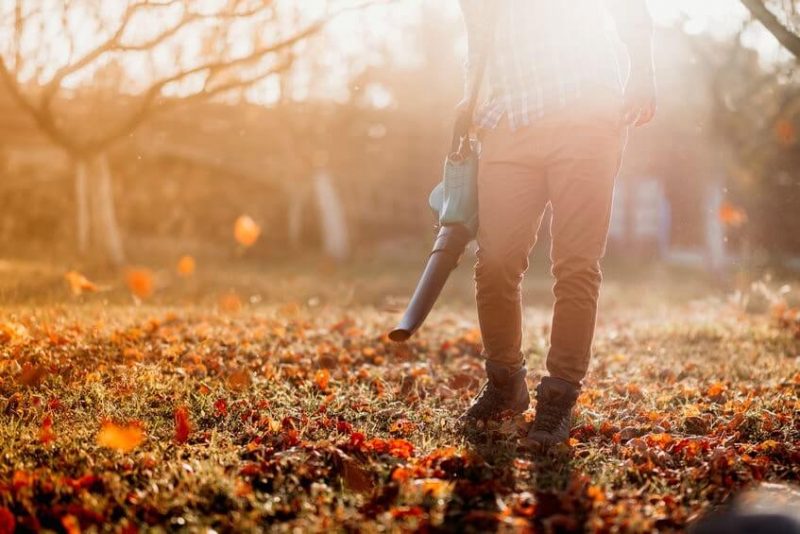 8 Tips for Easy Fall Leaf Removal & What Not to Do!