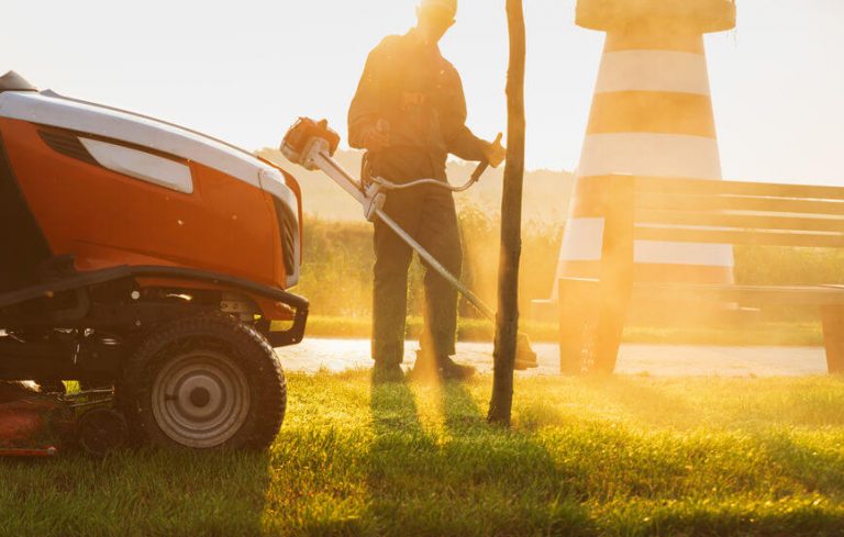 Types of Lawn Mowers - Which One is Right for You?