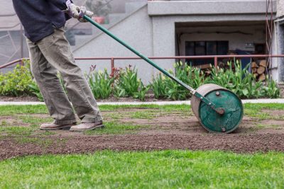Lumpy Lawns – Common Causes and How to Fix Them - yardthyme.com
