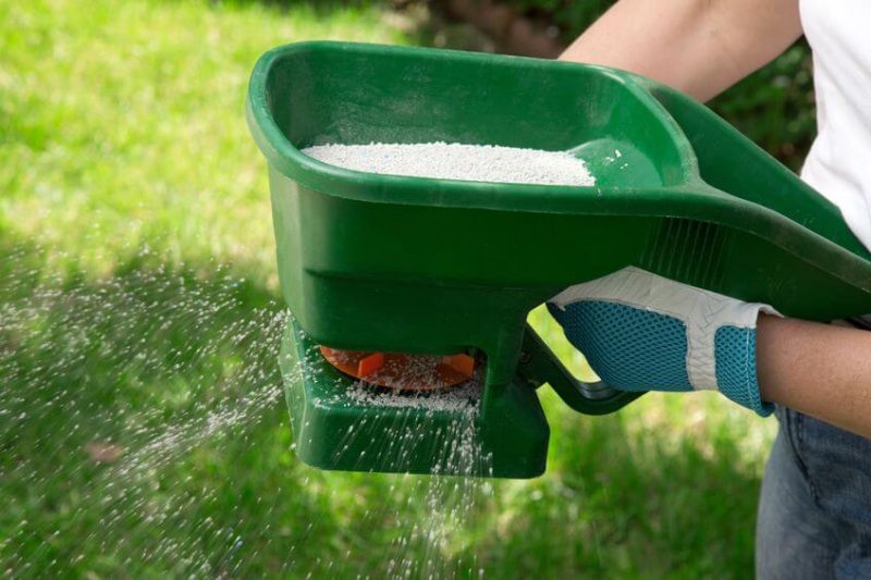 Types of Lawn Fertilizers - How to Choose the Right One