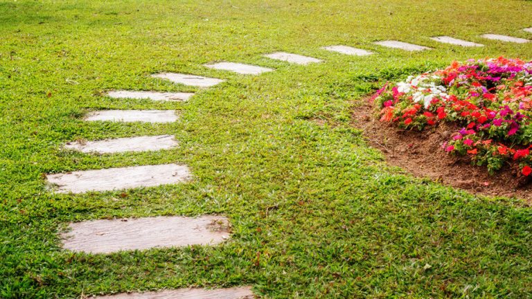 Sod vs Turf - Which is The One Right for You and Why?