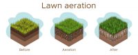 Let it Breathe - The Top 7 Benefits of Aerating Your Lawn
