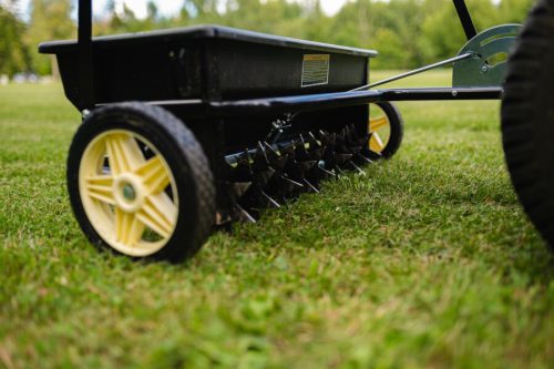 How to Make Grass Thicker & Fuller (Complete Guide)