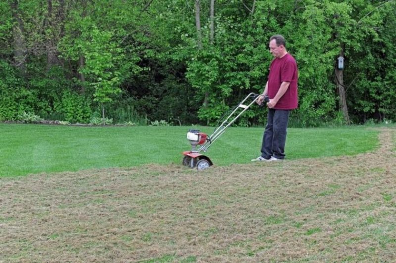 The Top 6 Benefits of Dethatching a Lawn (Pros & Cons)