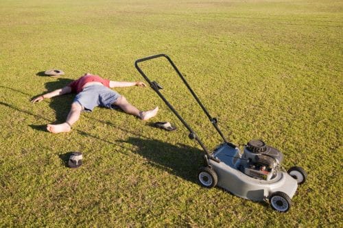 Mowing Lawn in Hot Weather: What do You Need to Know?