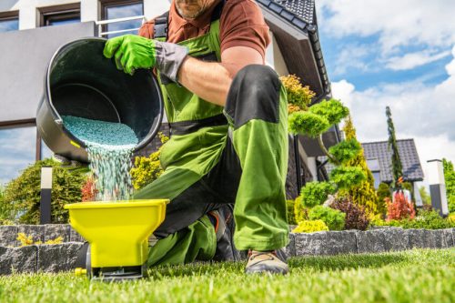 DIY Lawn Fertilizers - How to Make Your Own “Lawn Food!”