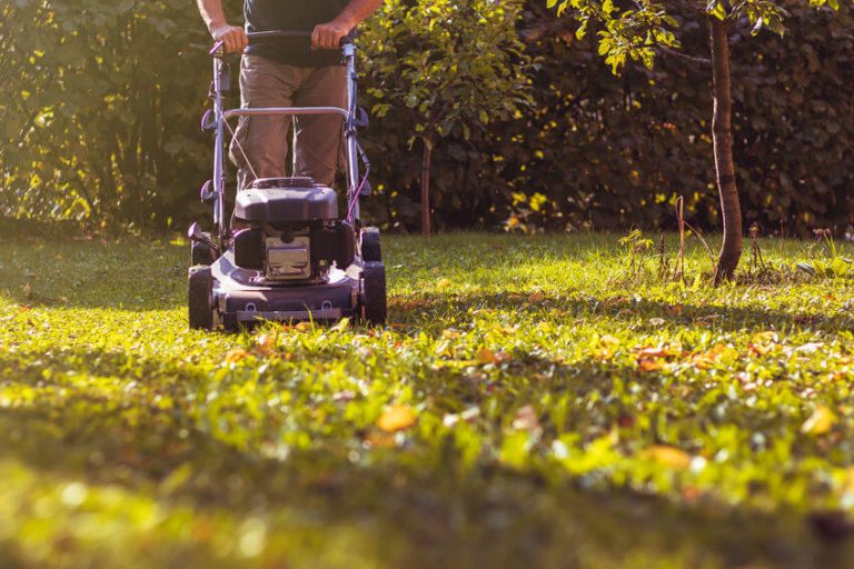 How to Mow: 14 Essential Lawn Mowing Tips for Your Yard
