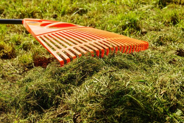 Power Rake vs Dethatcher - Which One Do You Need?