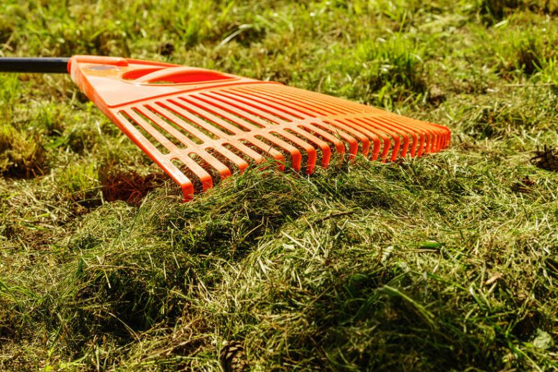 Power Rake vs Dethatcher - Which One Do You Need?