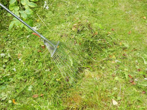 10 Tips on What to Do With Grass Clippings After Mowing
