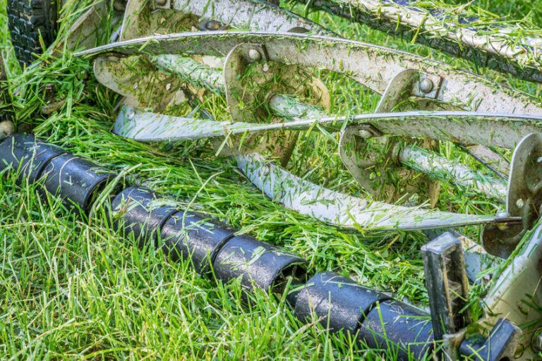 Why Should You Use a Reel Mower - Is It Better For Lawn?