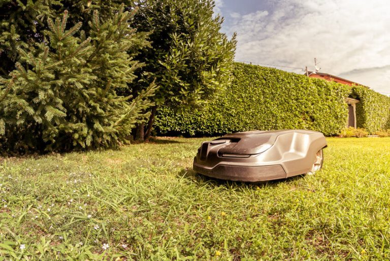 The Pros and Cons of Robotic Lawn Mowers - Is it Worth it? - yardthyme.com