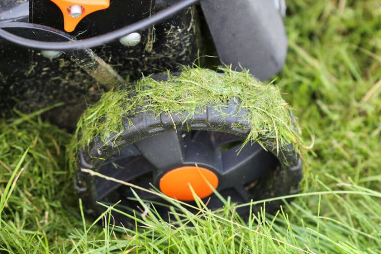How to Mow: 14 Essential Lawn Mowing Tips for Your Yard