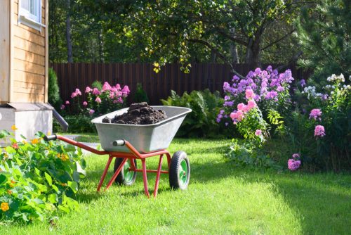 DIY Lawn Fertilizers - How to Make Your Own “Lawn Food!”