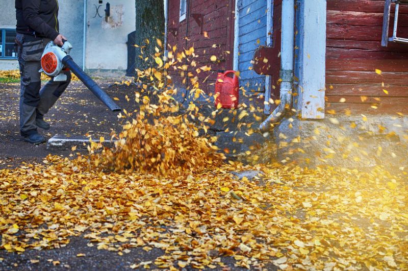8 Tips for Easy Fall Leaf Removal & What Not to Do!